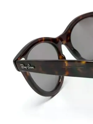 Ray-ban Wayfarer Sunglasses - Brown
