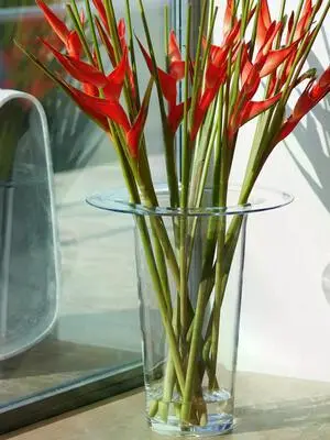 LSA INTERNATIONAL Medium Victoria Glass Vase