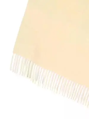 Fabiana Filippi Fringed-edge Brushed Scarf