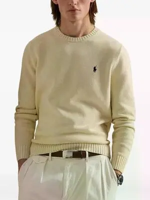 Polo Ralph Lauren Crew Neck Embroidered Jumper - Neutrals