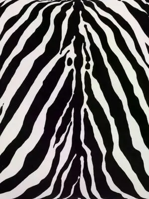Dolce & Gabbana Medium Zebra-print Velvet Cushion - Black