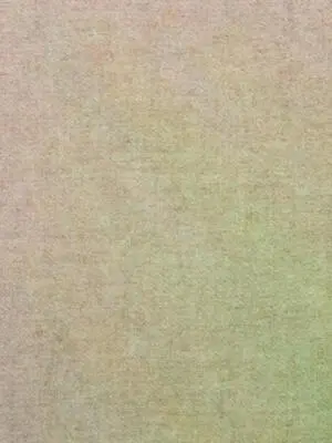 Acne Studios Wool Fringed-edge Scarf - Neutrals