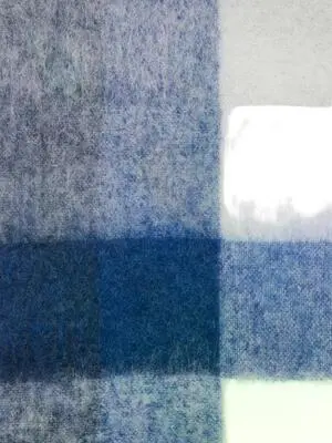 Acne Studios Check Logo-appliqué Scarf - Blue