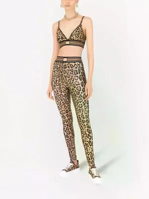Dolce & Gabbana Leopard-print Jersey Leggings