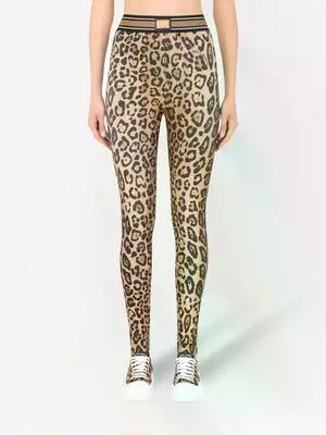 Dolce & Gabbana Leopard-print Jersey Leggings