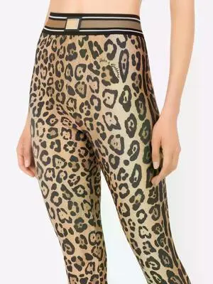 Dolce & Gabbana Leopard-print Jersey Leggings