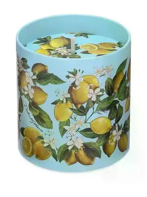 Dolce & Gabbana Scented Candle - Blue
