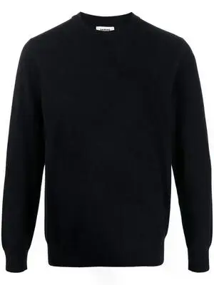 Sandro Cashmere Crew Neck Sweater