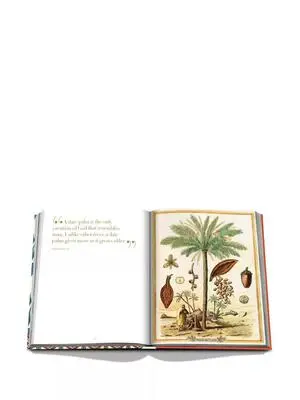 Assouline Saudi Dates: A Portrait Of The Sacred Fruit - Neutrals