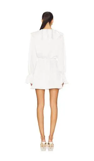 WeWoreWhat Ruffle Trimmed Mini Dress