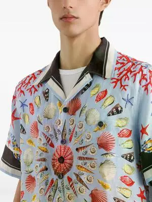 Dolce & Gabbana Shell-print Hawaii Shirt - Blue