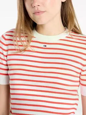 Tommy Hilfiger Striped Crewneck T-shirt