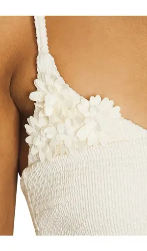 Devon Windsor Hayes Dress