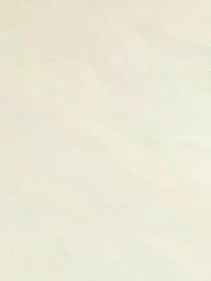 Max Mara Logo-jacquard Scarf