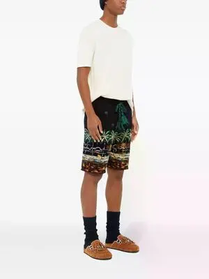 Alanui The Tale Of A Hawaiian Shorts