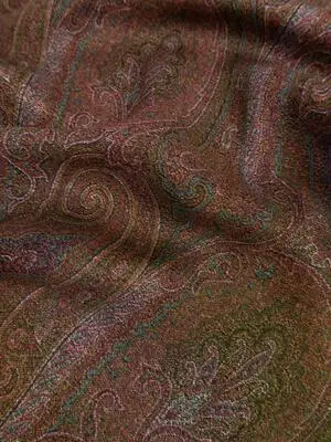 Etro Paisley-print Frayed-edge Scarf - Brown