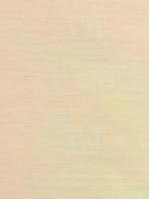 Max Mara Persia Scarf