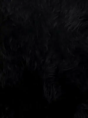 BLANCHA Cashmere Coat