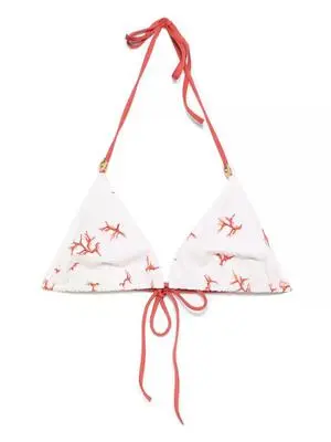 Fendi Coral Print Triangle Cup Bikini Top - Neutrals