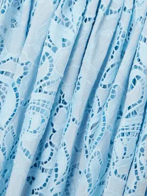 Erdem Gathered Broderie Anglaise Midi Dress