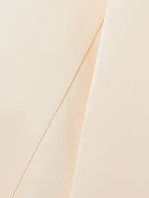Khaite Durion Open-back Satin Top - Neutrals