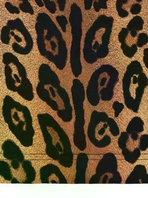 Dolce & Gabbana Leopard Print Crewneck T-shirt
