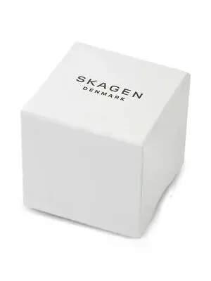 Skagen Rectangular Watch