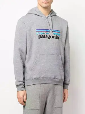 Patagonia Hooded Sweatshirts Hoodies For Women