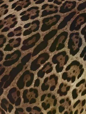 Dolce & Gabbana Leopard-print Silk Cushion - Brown