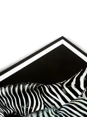 Dolce & Gabbana Zebra-print Set Of Thirty-six Placemats