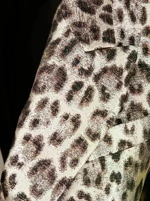 P.a.r.o.s.h Leopard Print Double-breasted Blazer