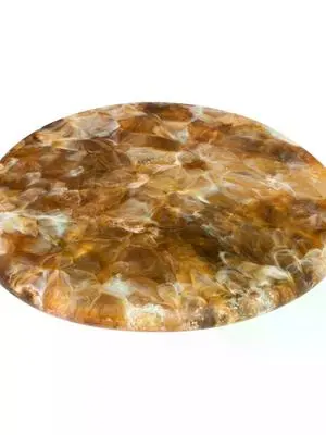 Dinosaur Designs Round-shape Cheese Platter - Brown