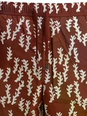 Zegna Leaf-print Swim Shorts - Brown