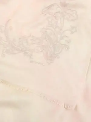 Etro Paisley-embroidered Scarf - Neutrals