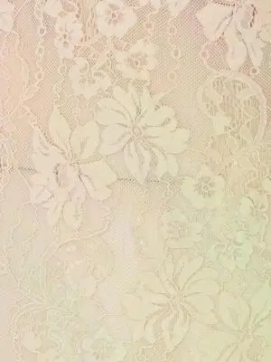 Zimmermann Drape Lace Bodysuit
