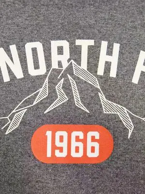 The North Face Graphic Hooded Sweater