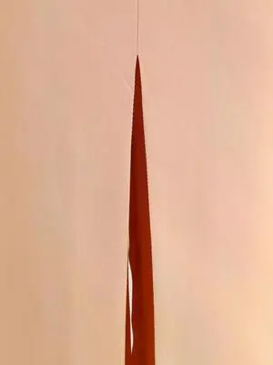 DI STAVNITSER Front-slit Wide-leg Trousers