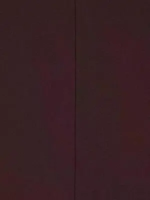 Elisabetta Franchi Panelled Midi Dress