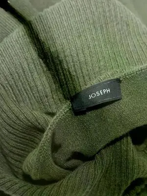 JOSEPH Sally Turtleneck Wool Dress