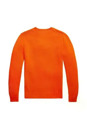 Polo Ralph Lauren Polo Ralph Lauren Embroidered Crew Neck Sweater Orange