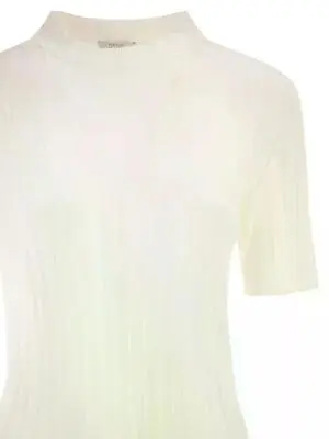 Peserico Ribbed Knit Short-sleeve High-neck Top