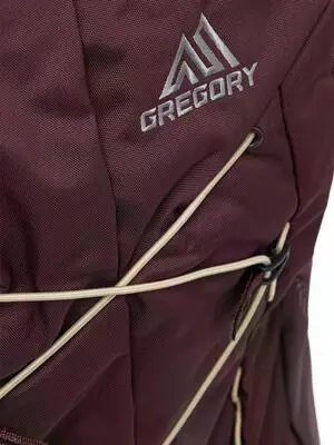 GREGORY Terros 28l Bungee Backpack