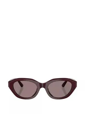 Polo Ralph Lauren Geometric-frame Sunglasses