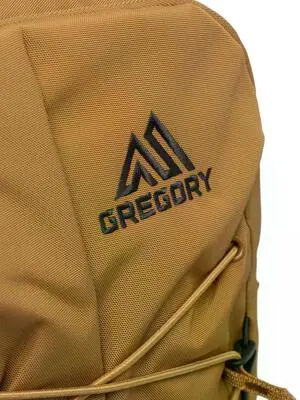 GREGORY Terros 20 Bungee-cord Backpack