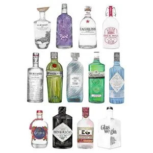 JOHANNA FLEMING Neutrals Gin Collection, Fine Art Print A4 - Green