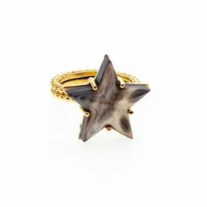 GEM KINGDOM Horn Star Ring