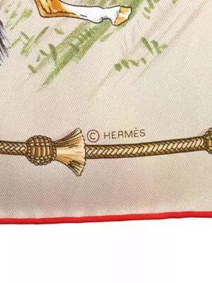Hermès 1990-2010 Pampa Silk Scarf 70 Scarves