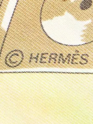 Hermès Cuillers D'afrique Scarf