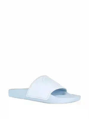 ANINE BING Logo Slides