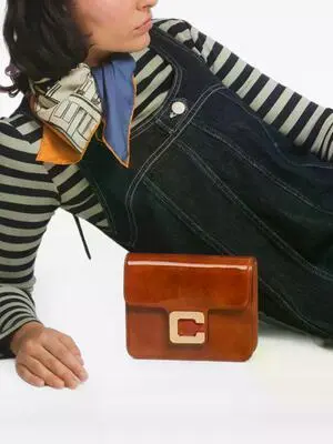 CAREL Mini Sorbonne Calf-leather Shoulder Bag - Brown